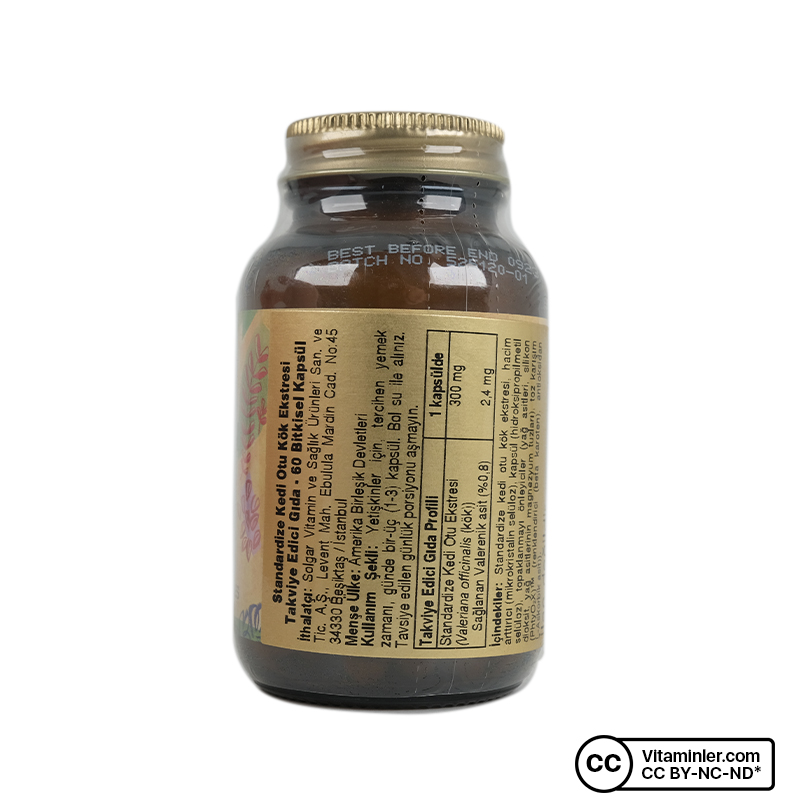 Solgar Valerian Root Extract 60 Kapsul | Vitaminler