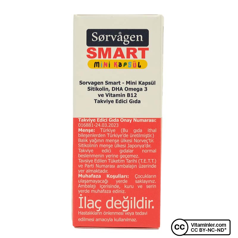 Sorvagen Smart Kids Sitikolin DHA Omega 3 ve B12 60 Flakon | Vitaminler