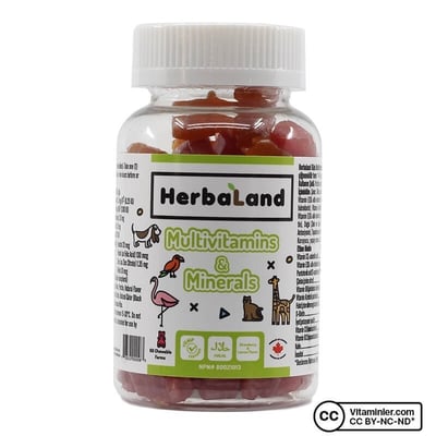 Herbaland Gummy Multivitamins & Minerals 60 Tablet | Vitaminler